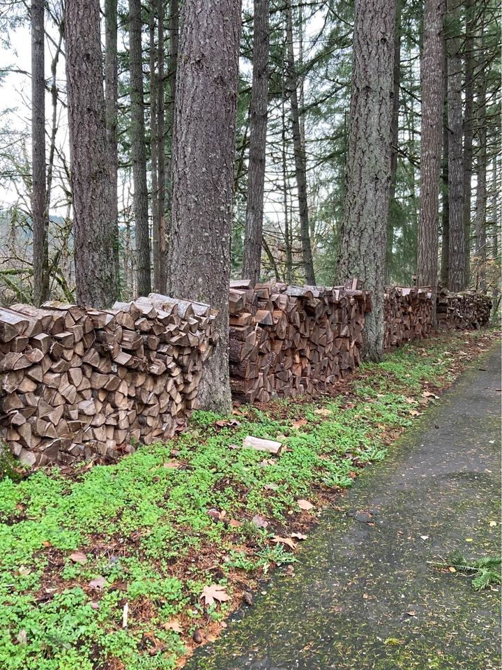 FREE FIREWOOD - Freebie Alerts