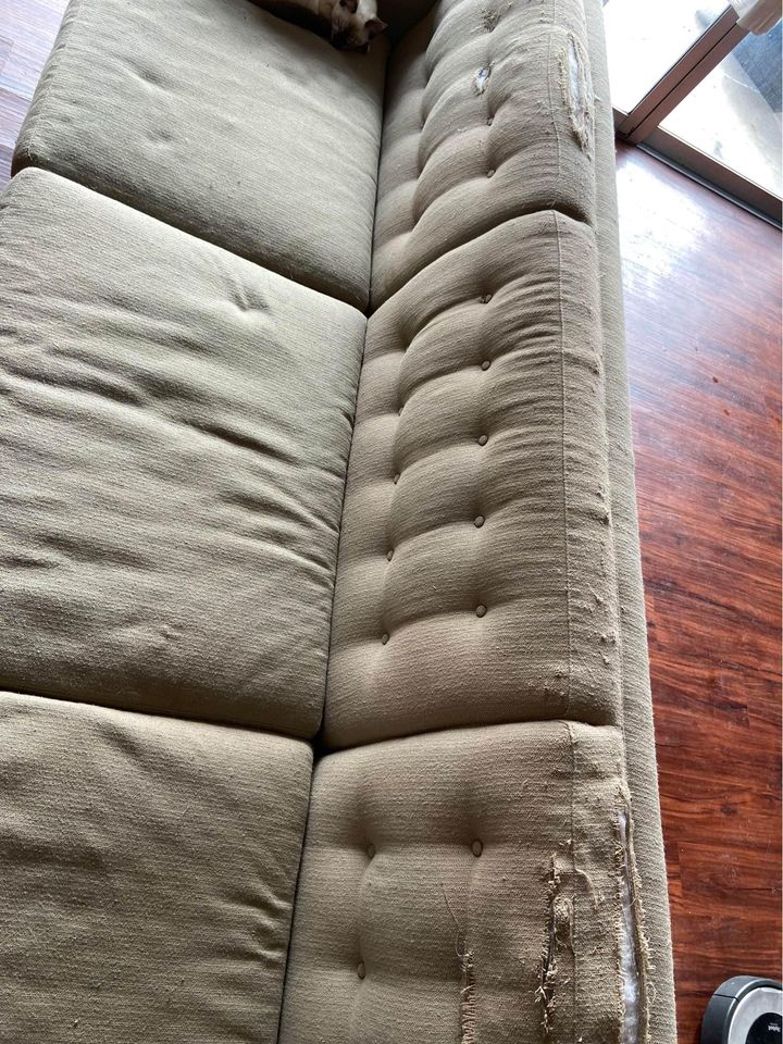 Free Couch - Freebie Alerts