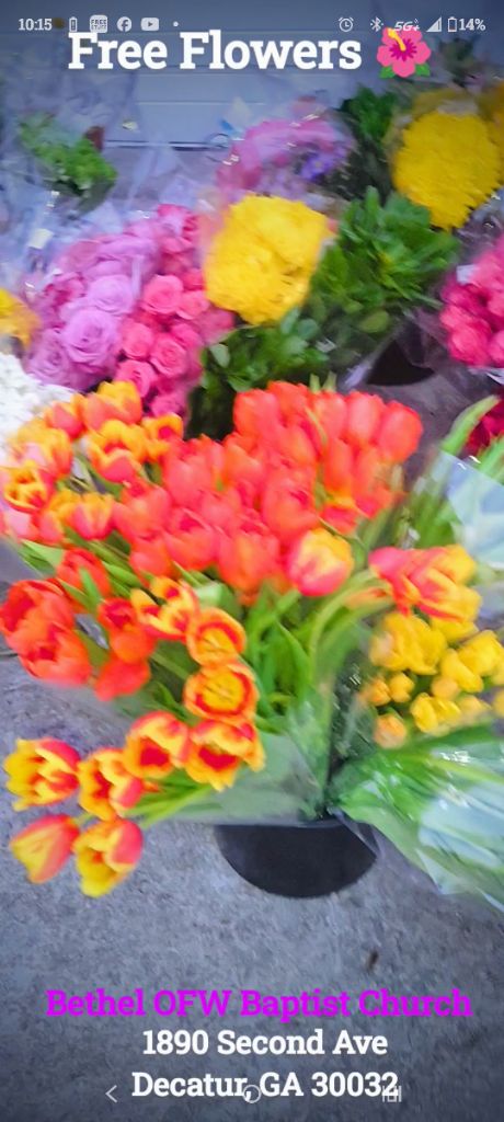 Free Flowers Today Only!!! 🌺 - Freebie Alerts