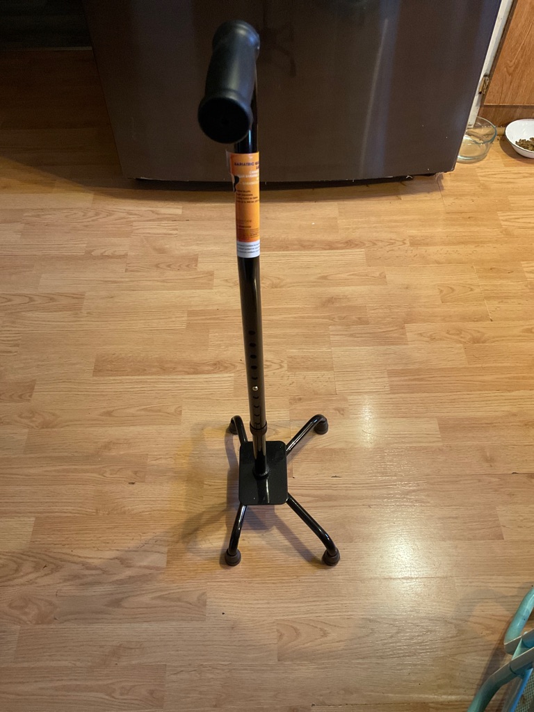 Walking cane 500 lbs + Black - Freebie Alerts